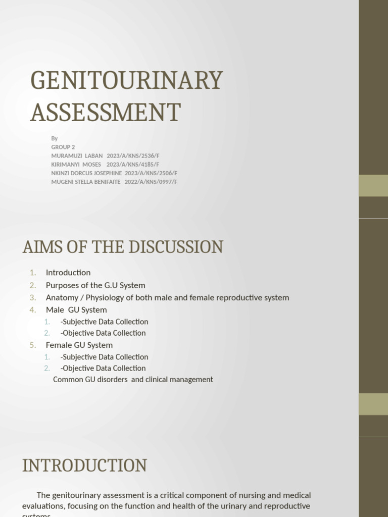 Group 2 Genitourinary System | PDF | Vagina | Kidney