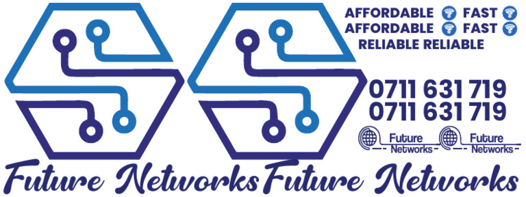 Future Internet | PDF