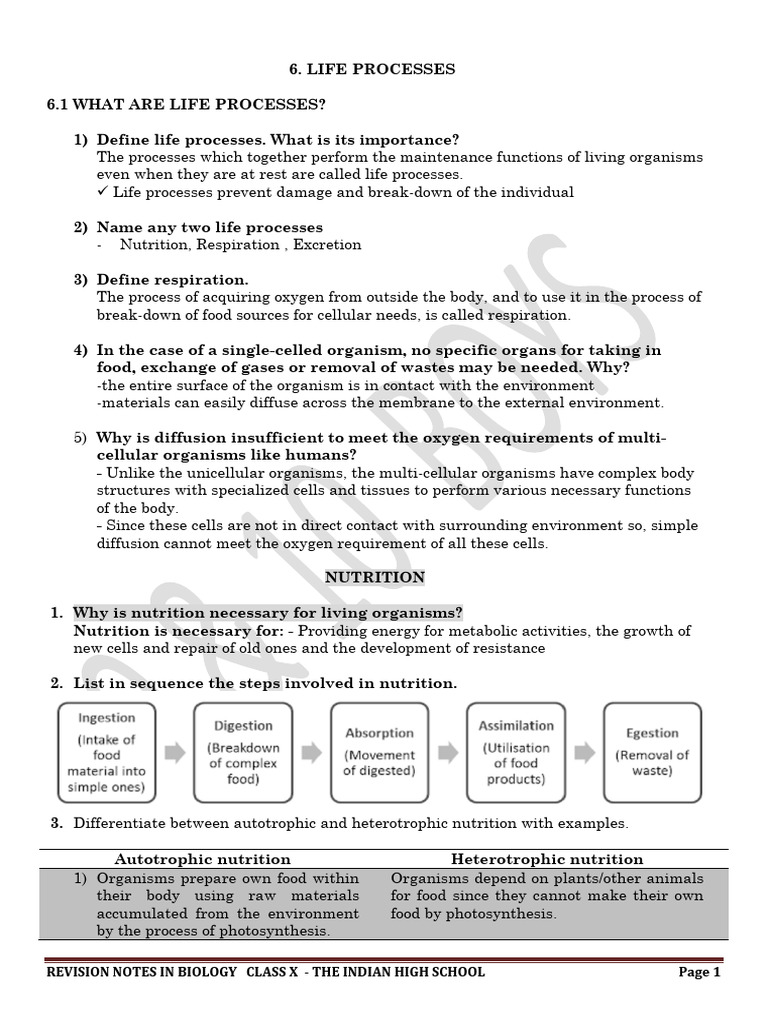 Life Processes Question Bank | PDF | Atrium (Heart) | Heart