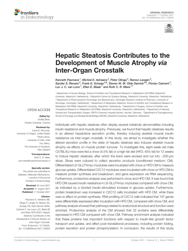 Hepatic Steatosis Induces Muscle Atrophy | PDF | Skeletal Muscle | Anatomy