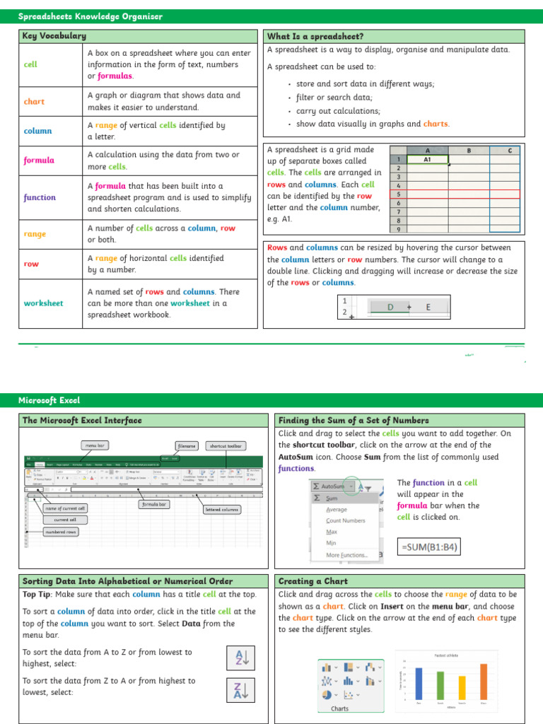Spreadsheet Basics and Excel Guide | PDF | Spreadsheet | Microsoft Excel