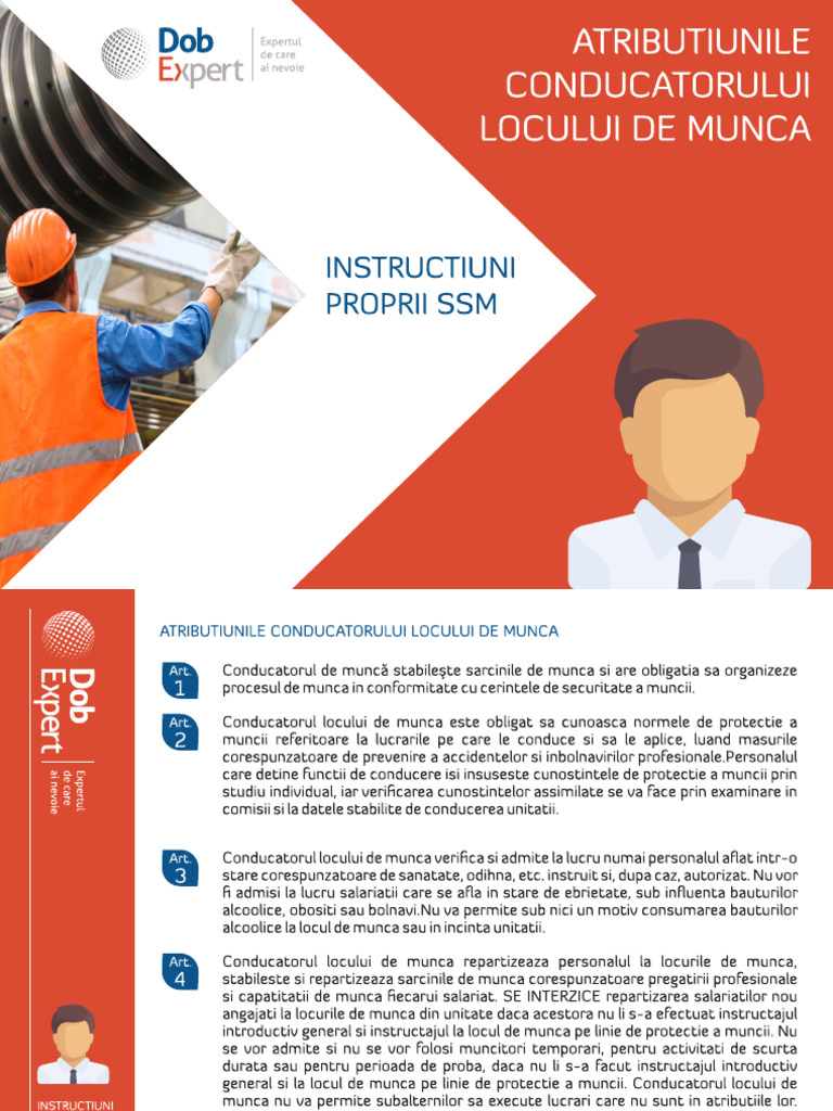 IPSM 1 Atributii Conducator Loc de Munca | PDF