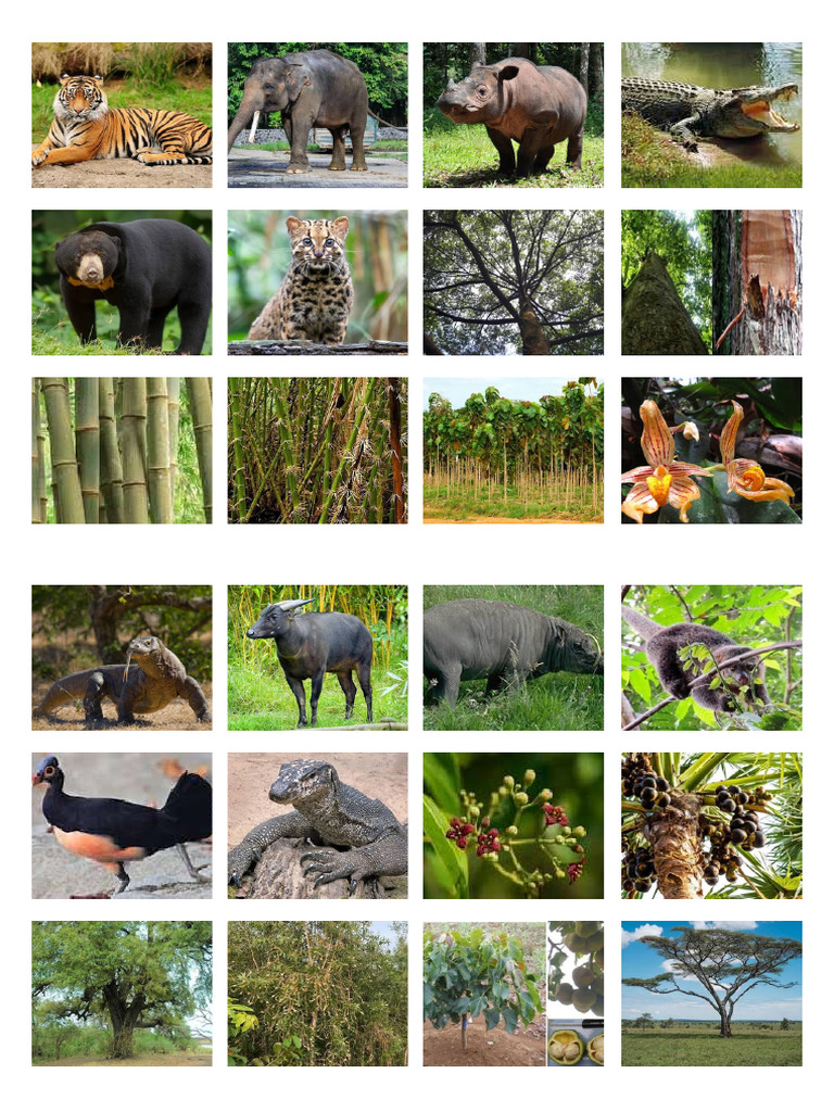 Desain Tanpa Judul - 20251110 - 205827 - 0000 | PDF