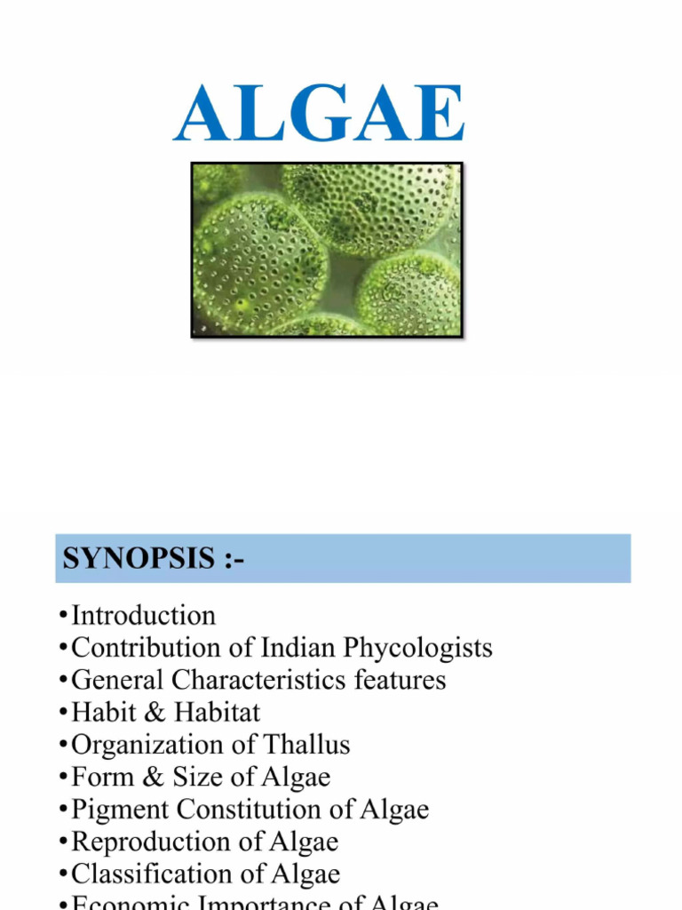 Algae Pdf