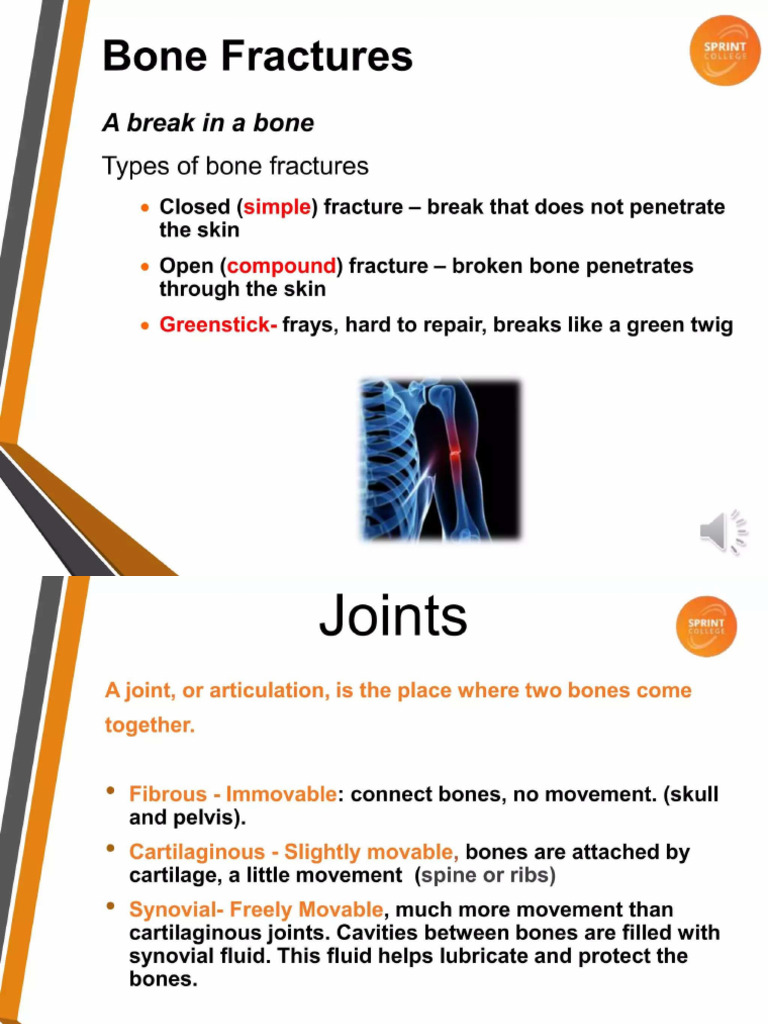 Types of Joints | PDF