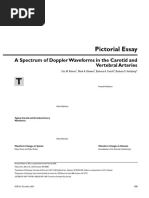 Doppler Waveform Patterns Explained | PDF | Vein | Cardiovascular System