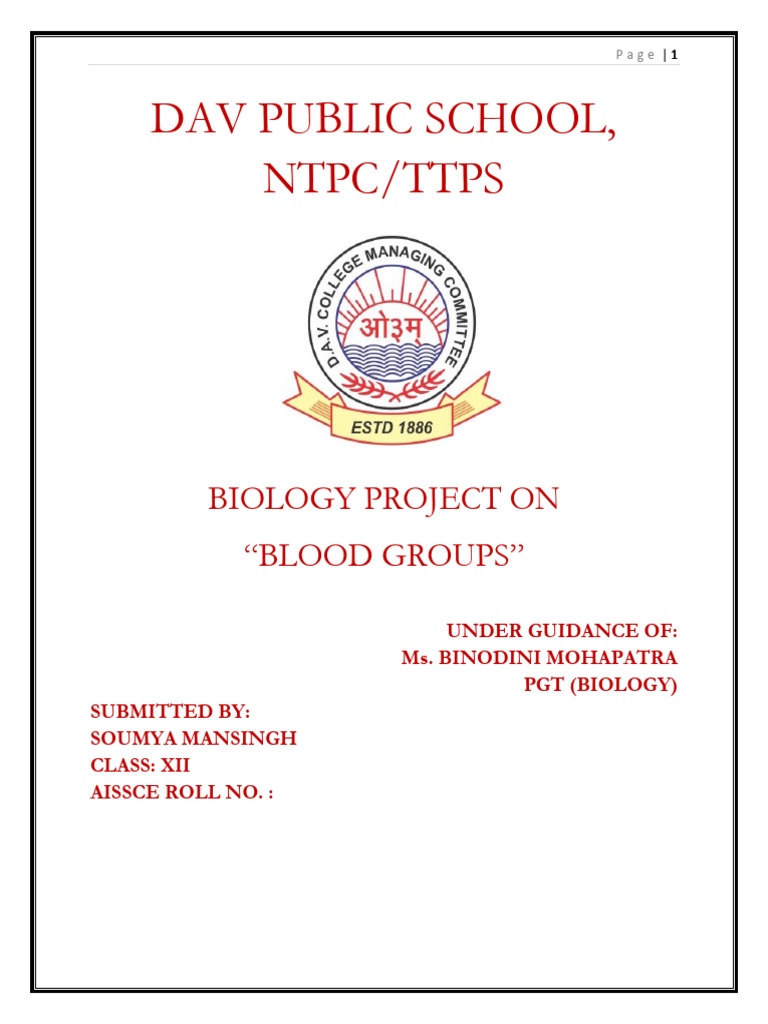Dav Public School | PDF | Blood Type | Blood