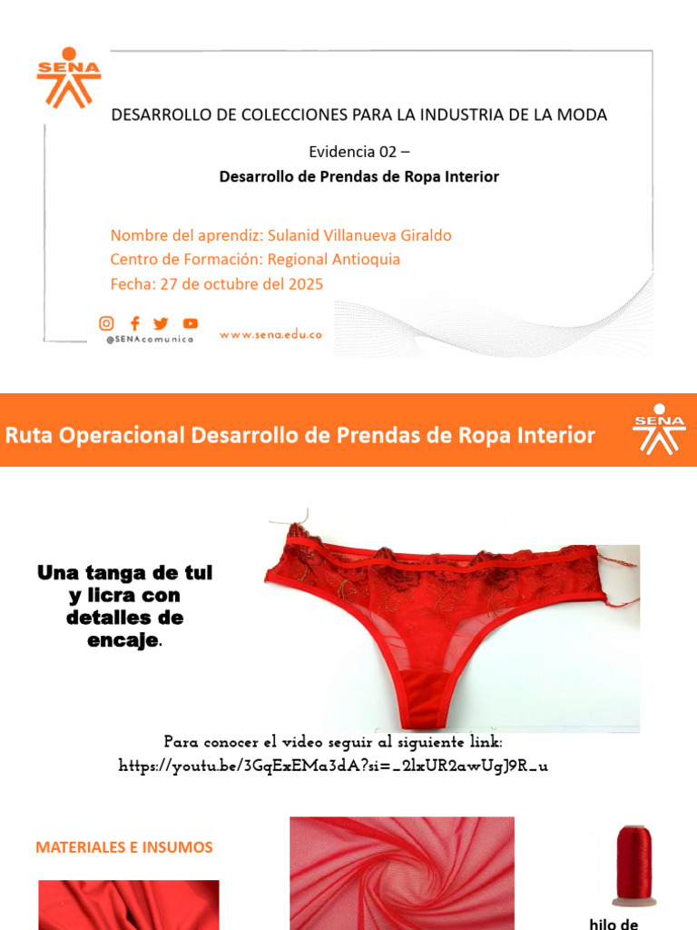 Desarrollo de Prendas de Ropa Interior | PDF | Ropa | Textiles