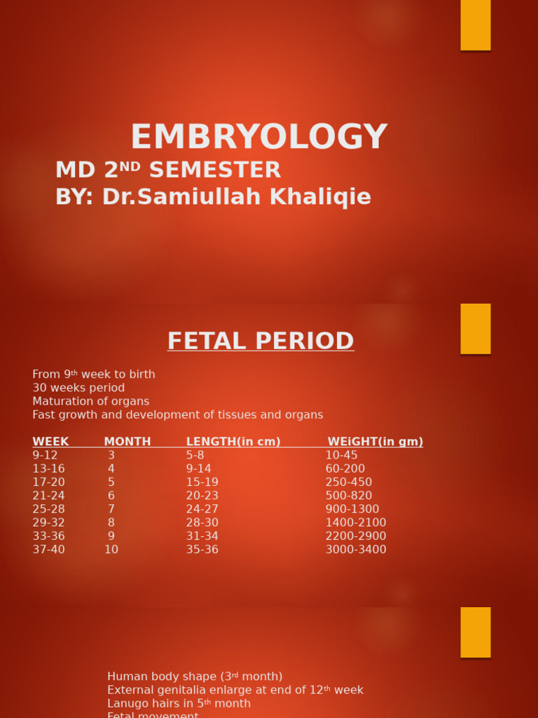 9.EMBRYO Fetal Period | PDF