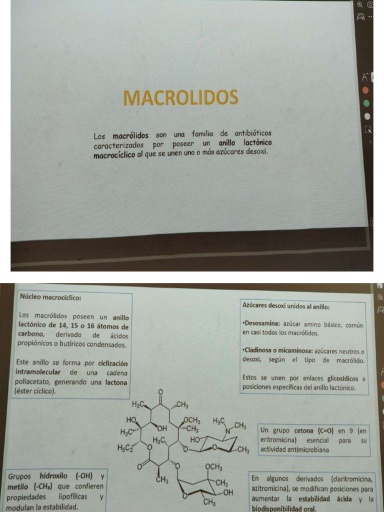 Macro Lido s | PDF