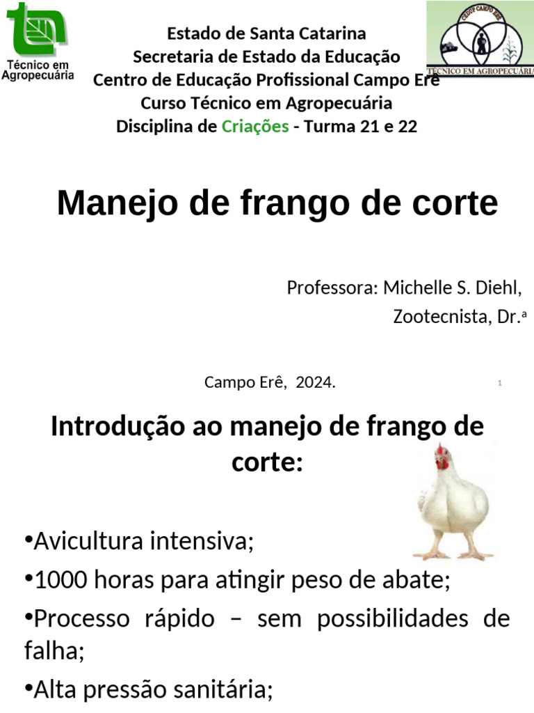 Manejo Eficiente de Frango de Corte | PDF | Frango | Avicultura