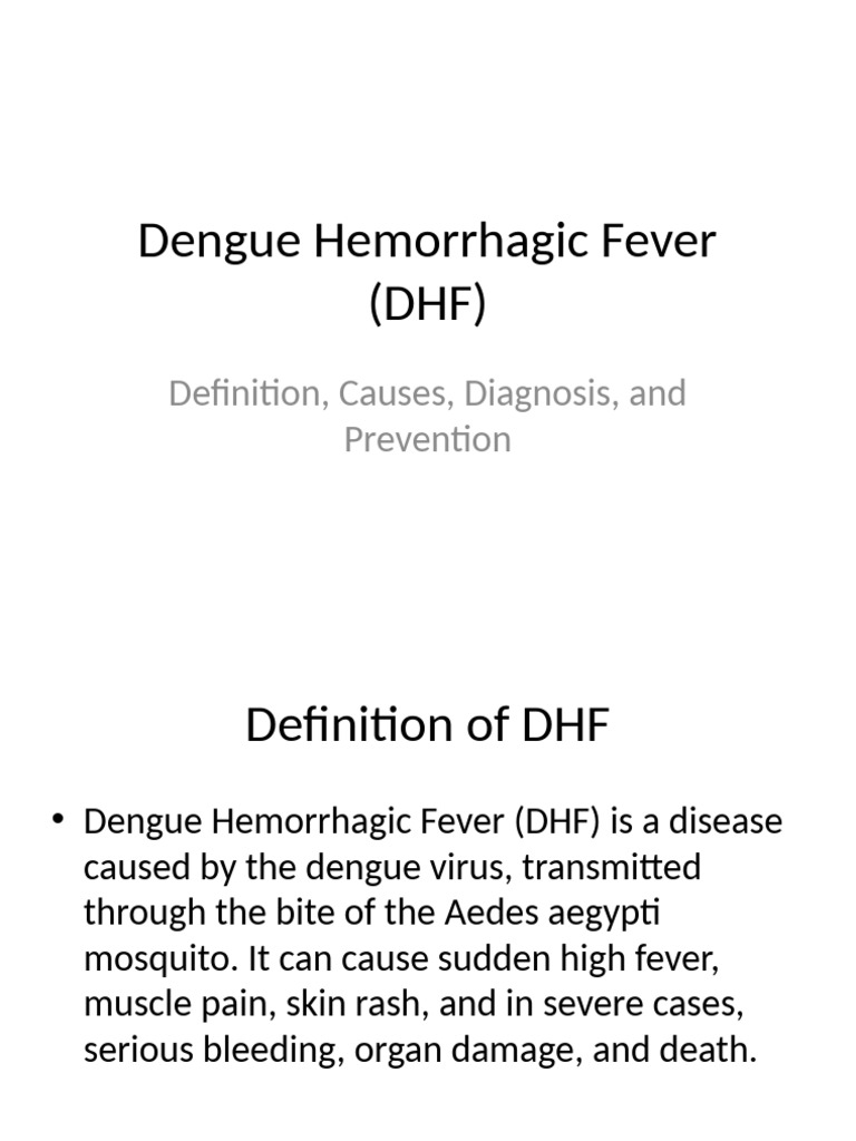 DHF Presentation English | PDF