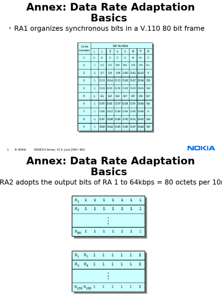 EDGE_Slides Annex V2.0 | PDF