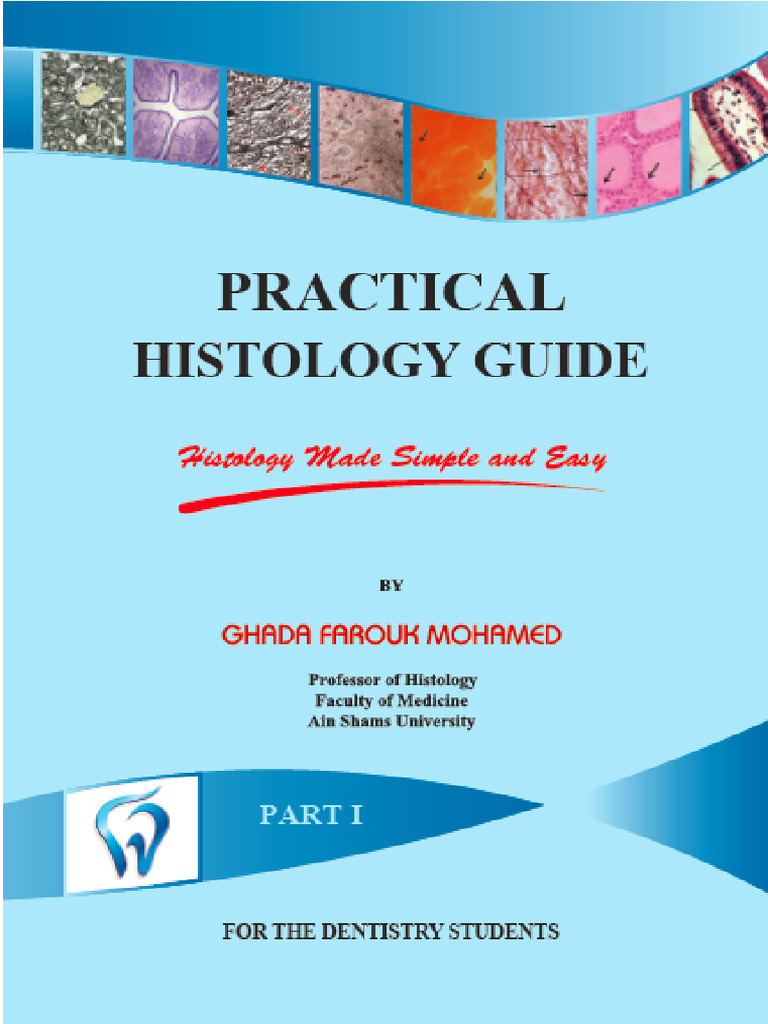 Practical Histology Guide for Dentistry | PDF | Epithelium | Connective ...