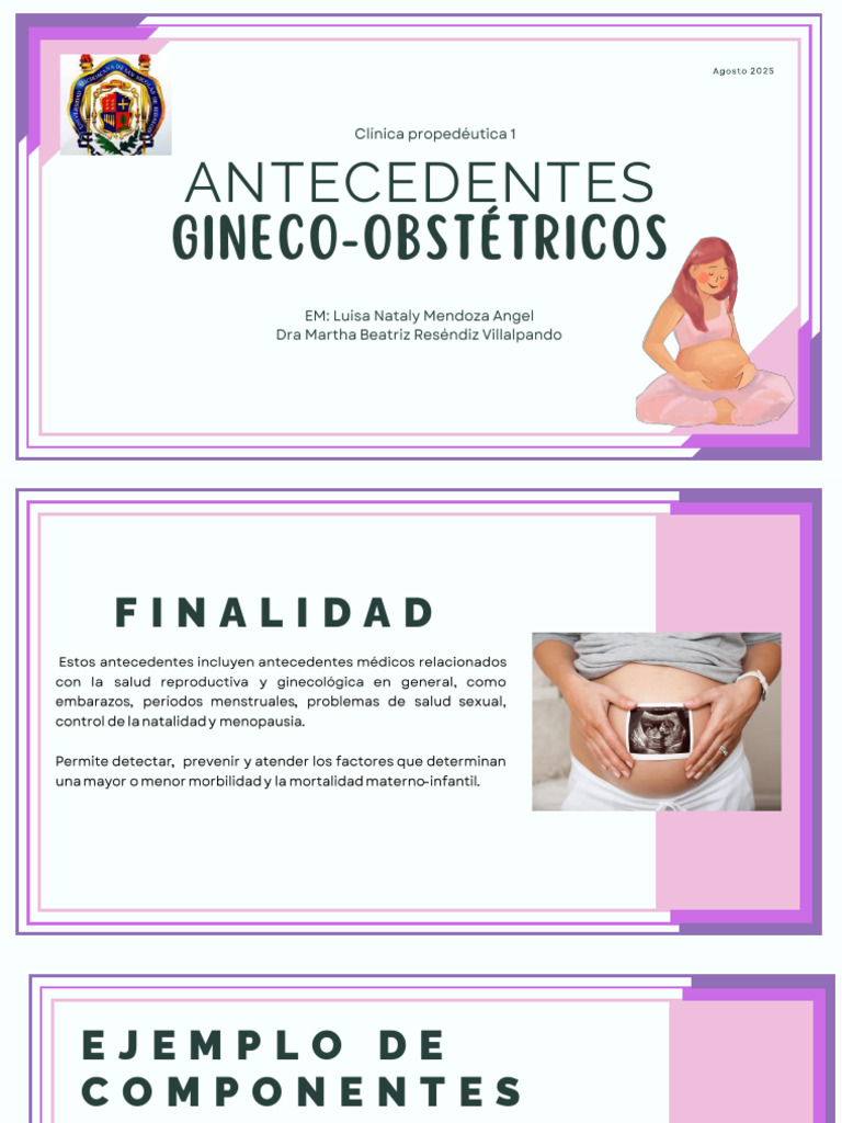 Antecedentes Ginecoobstétricos Importantes Pdf