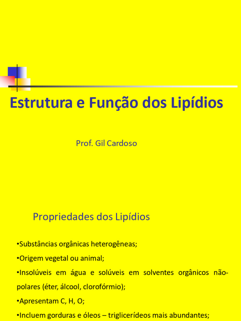 Estrutura e Função dos Lipídios | PDF | Lipídio | Gordura