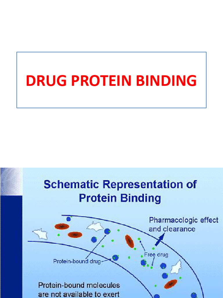 Drug Protein Binding Mechanisms Explained | PDF | Molecular Binding ...