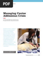 Canine ACTH Stimulation Test Protocol | PDF | Health Care | Medical ...