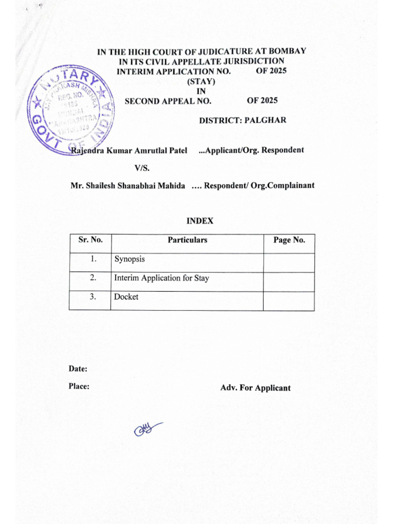 Interim Application Stay | PDF
