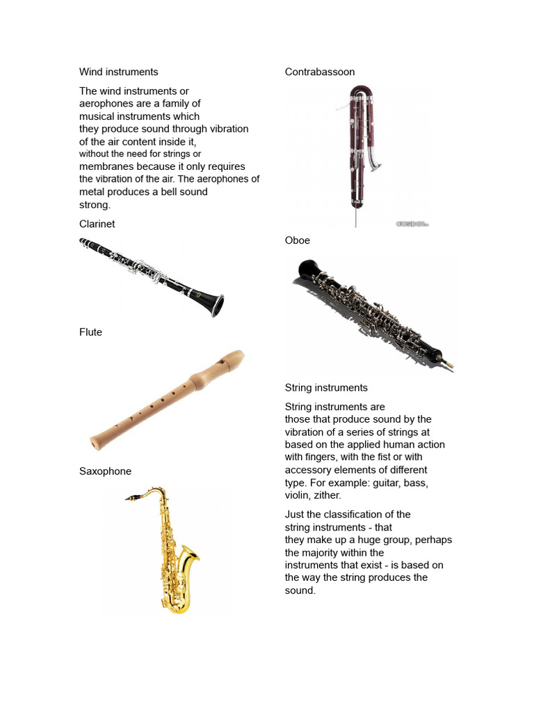Wind Instruments, Percussion, Strings | PDF | Musical Instruments ...