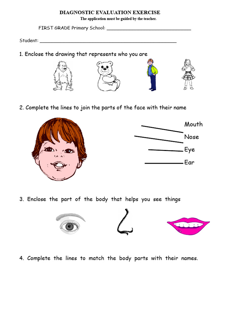 DIAGNOSTIC EVALUATION FOR 1st TO 6th GRADE PRIMARY EDUCATION | PDF ...