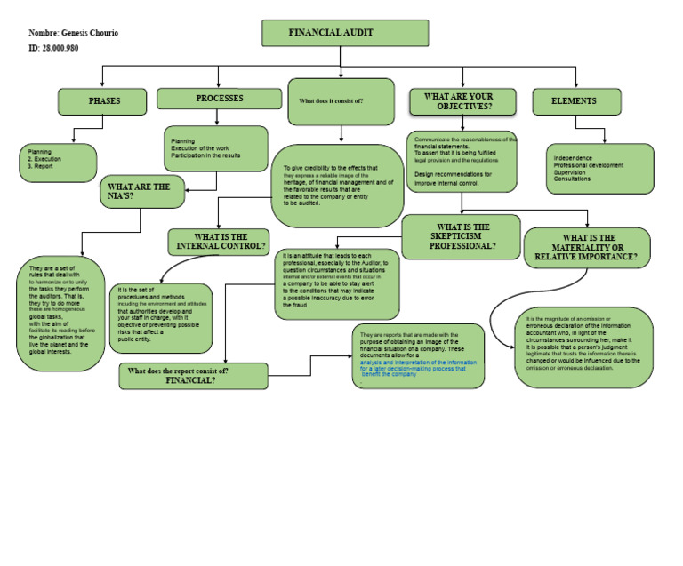 conceptual map Audit II | PDF | Internal Control | Audit