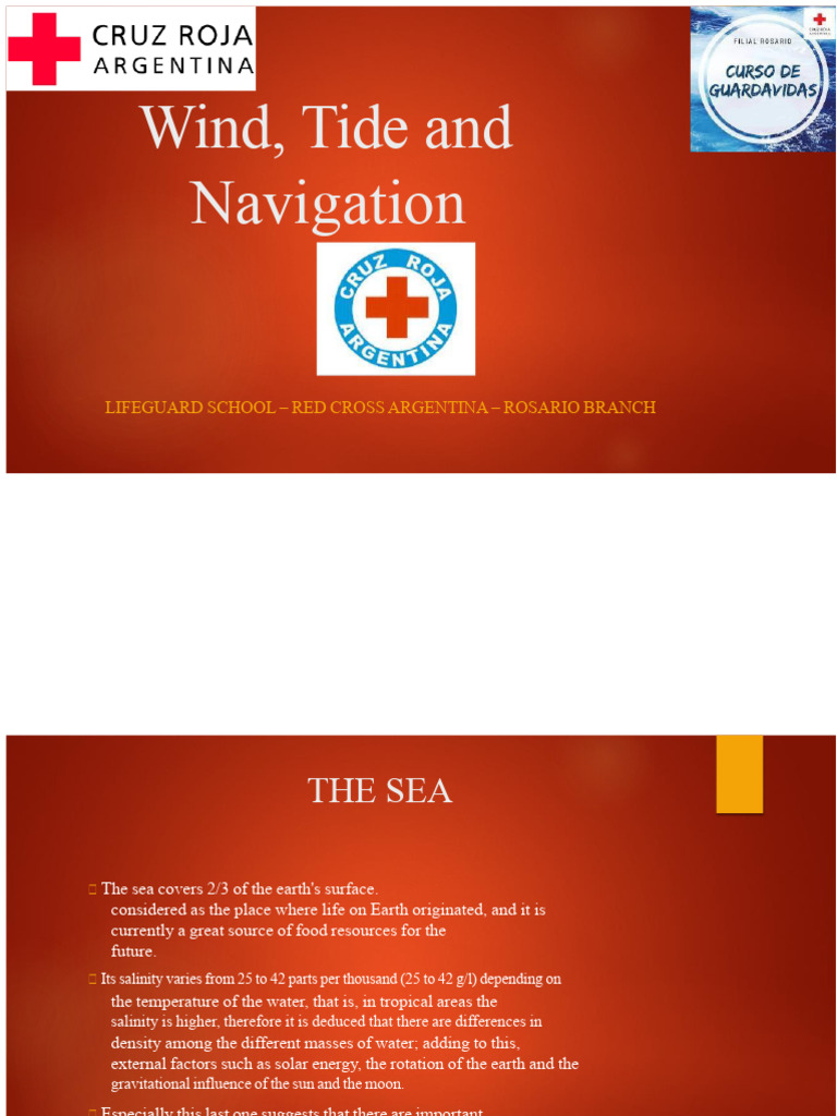 Sea Movements: Currents, Tides, Waves | PDF | Tide | Oceans