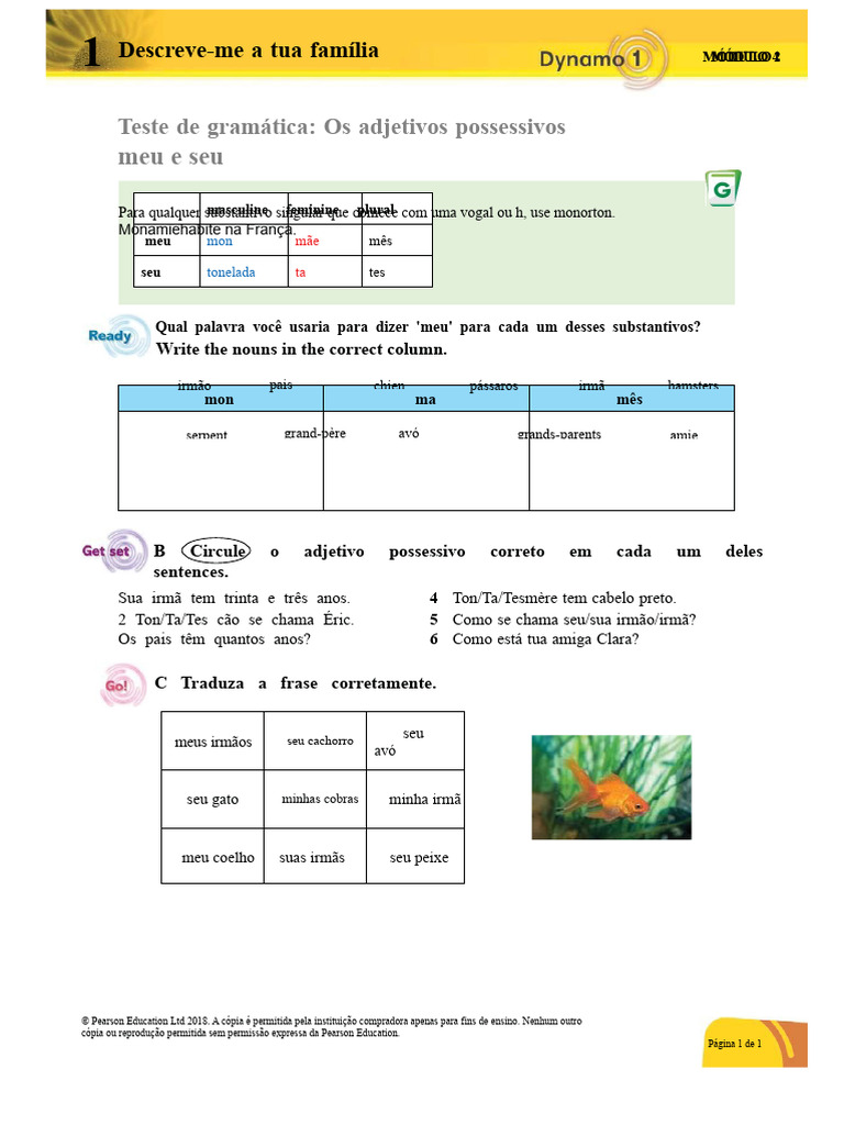 Dynamo_1_Módulo_4_fichas | PDF | Palavra | Pronome
