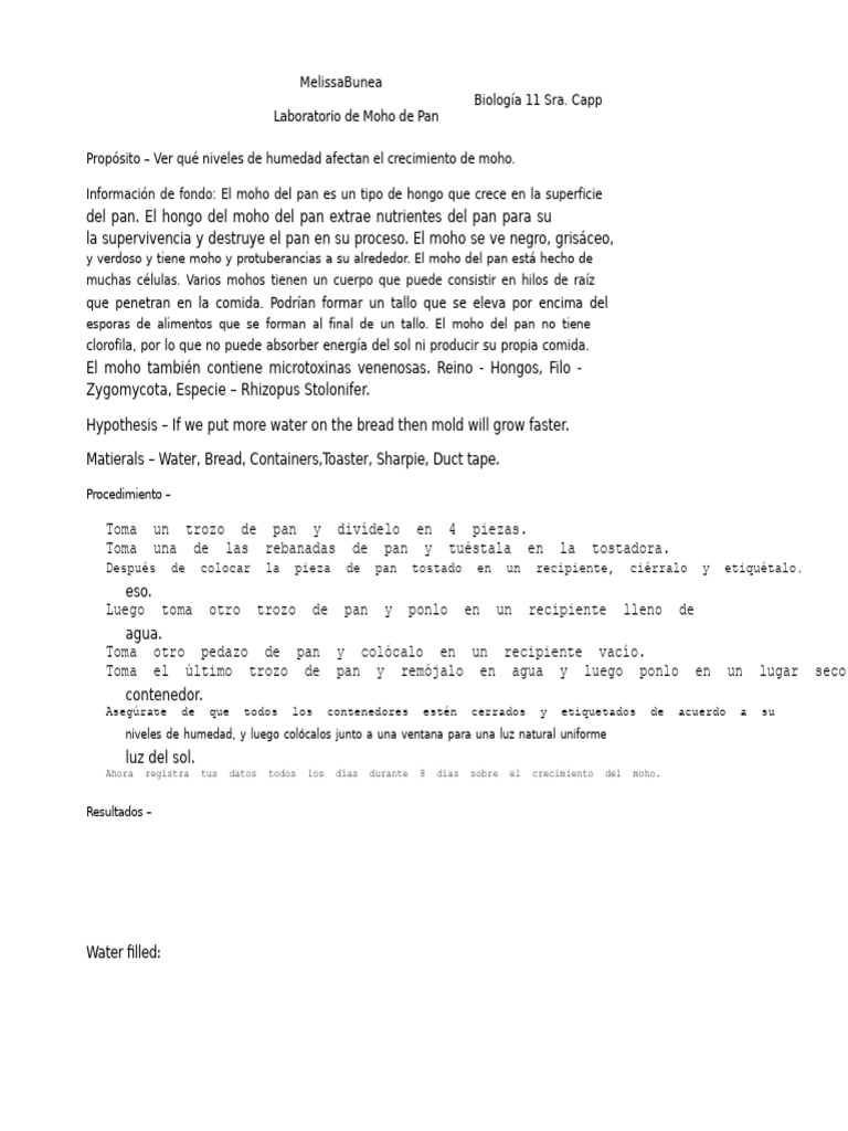 Laboratorio de Moho de Pan | PDF | Molde | Hongo