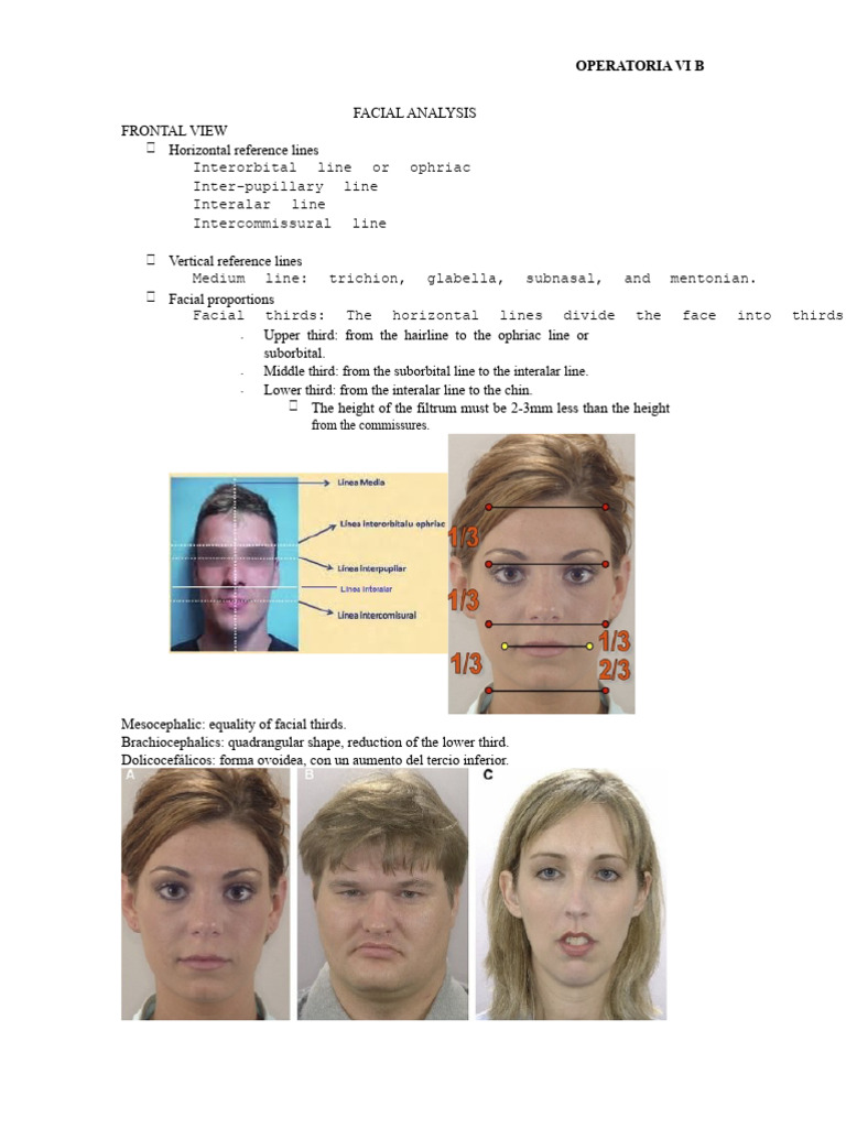 Facial Analysis | PDF | Angle | Human Nose