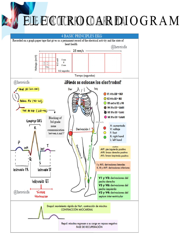 EKG Analysis: Principles and Interpretation | PDF | Electrocardiography ...
