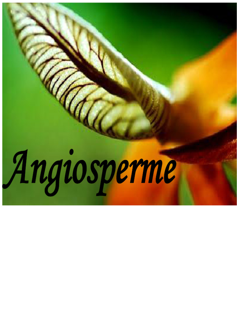 Overview of Angiosperms and Their Classification | PDF | Flowers | Seed