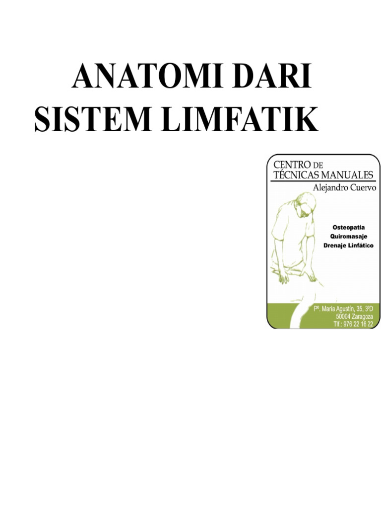 Struktur dan Fungsi Sistem Limfatik | PDF