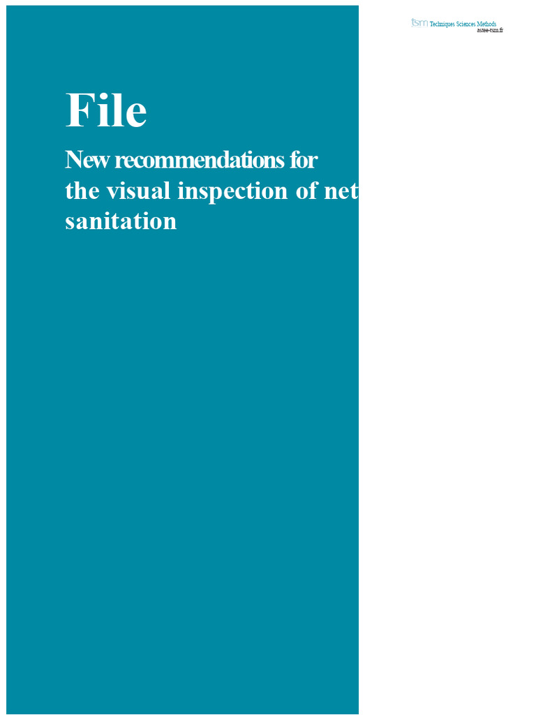 P - New Recommendations For The Visual Inspection of Sanitation ...