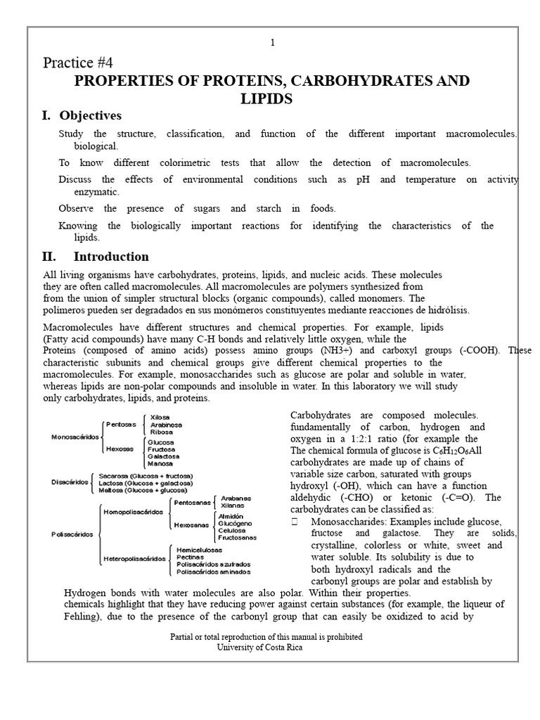Practice 4 | PDF | Carbohydrates | Lipid