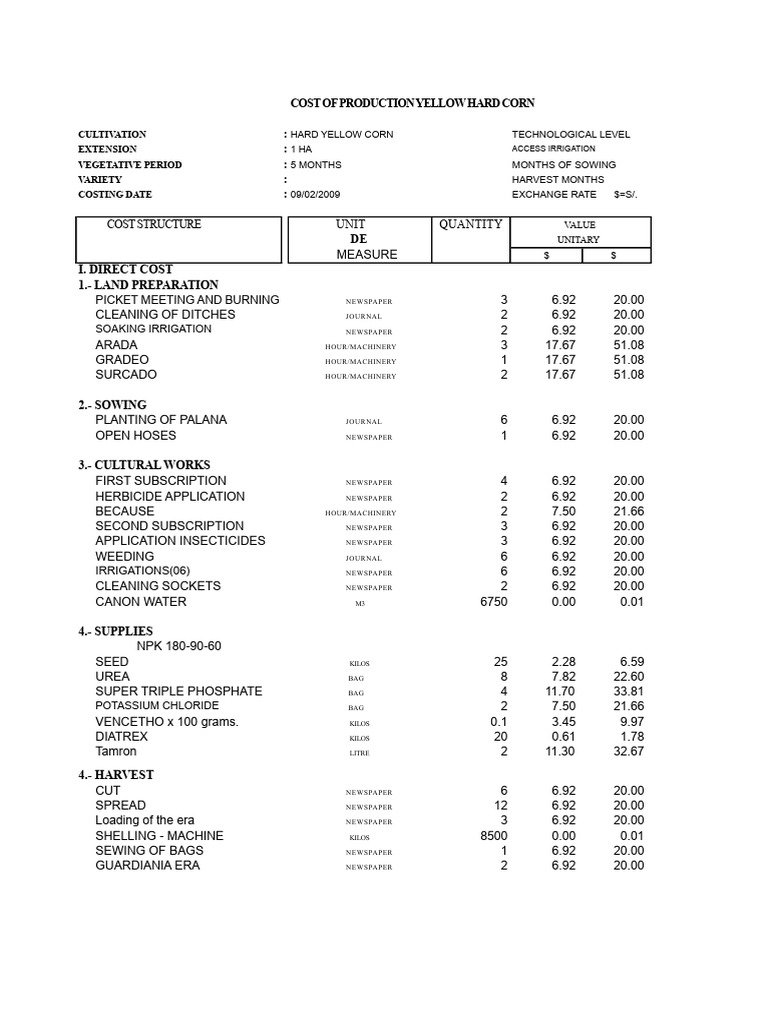 Cost of Production of Hard Yellow Maize | PDF | Maize | Agriculture