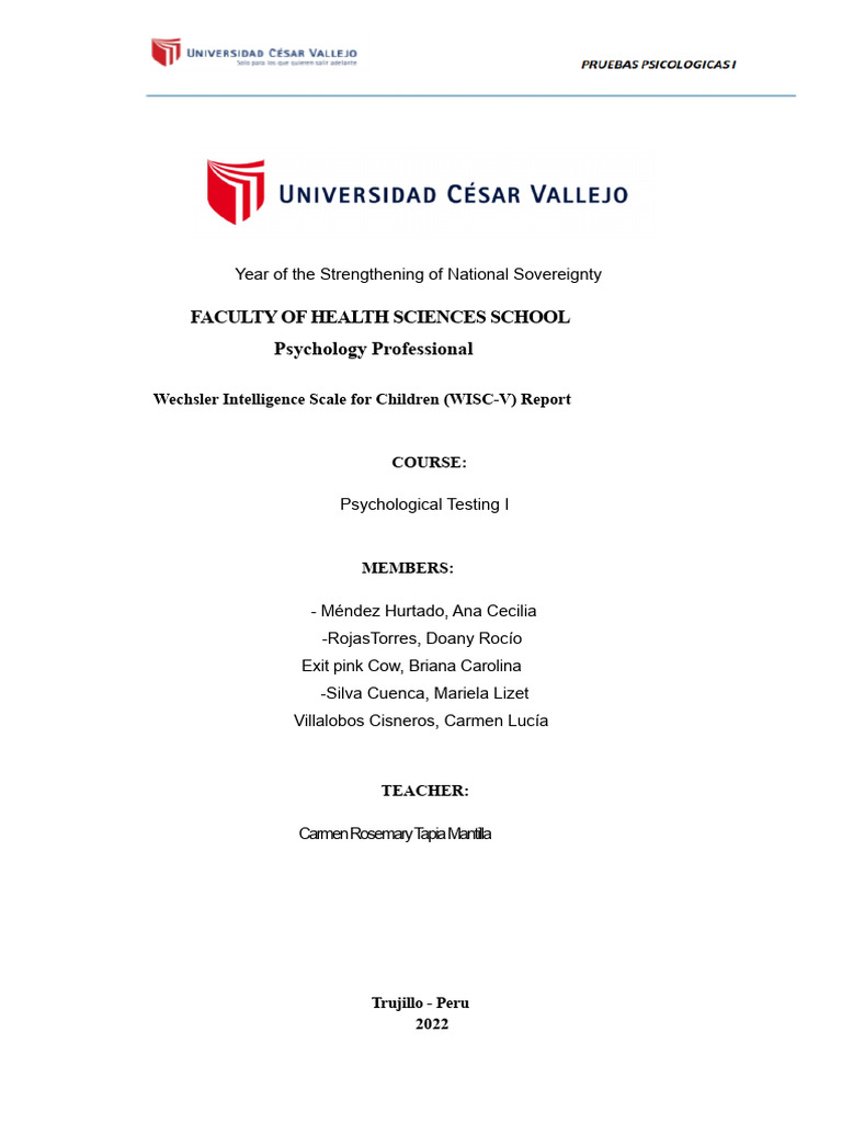 WISC-V Psychological Evaluation Report | PDF | Memory | Working Memory
