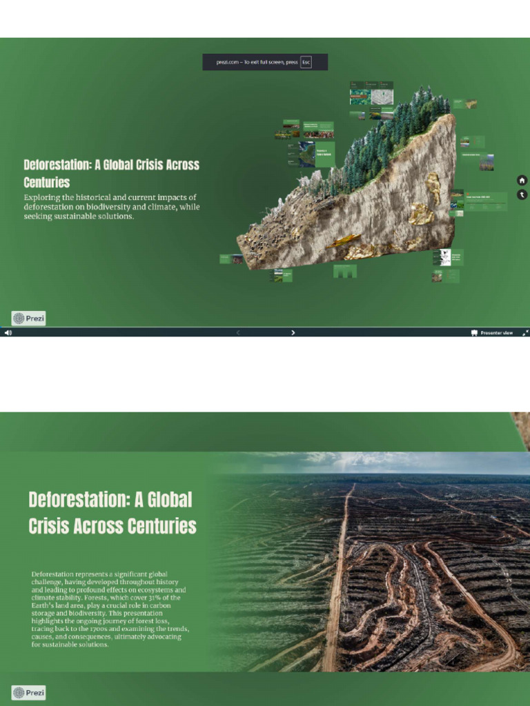 Deforestation | PDF
