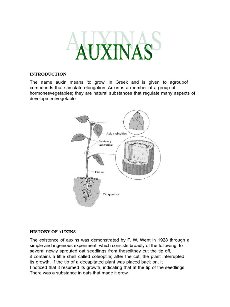 Auxins | PDF | Auxin | Plant Hormone