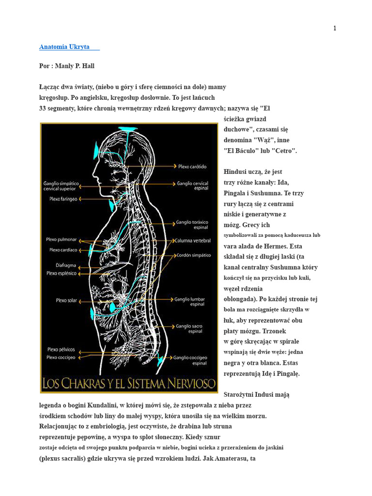 Anatomia Ukryta | PDF
