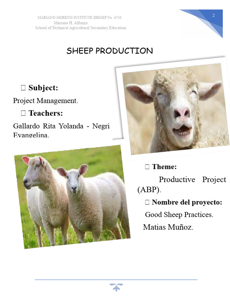 Final Project 6th | PDF | Sheep | Wool