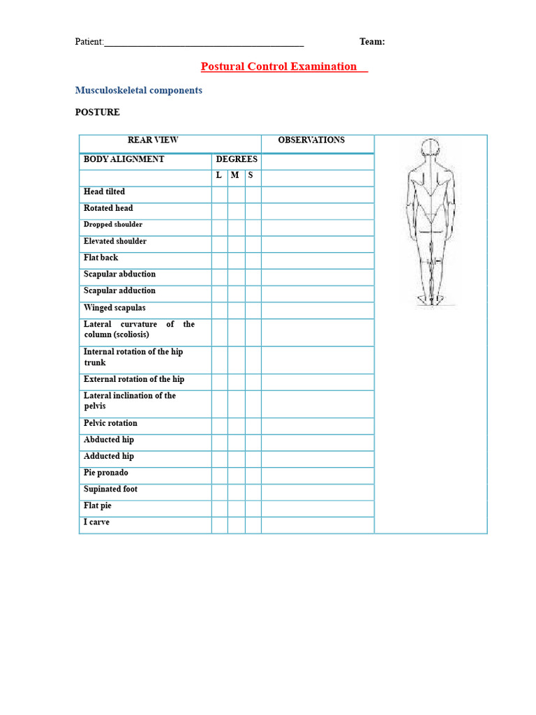 Postural Control Examination | PDF | Anatomical Terms Of Motion | Soft ...