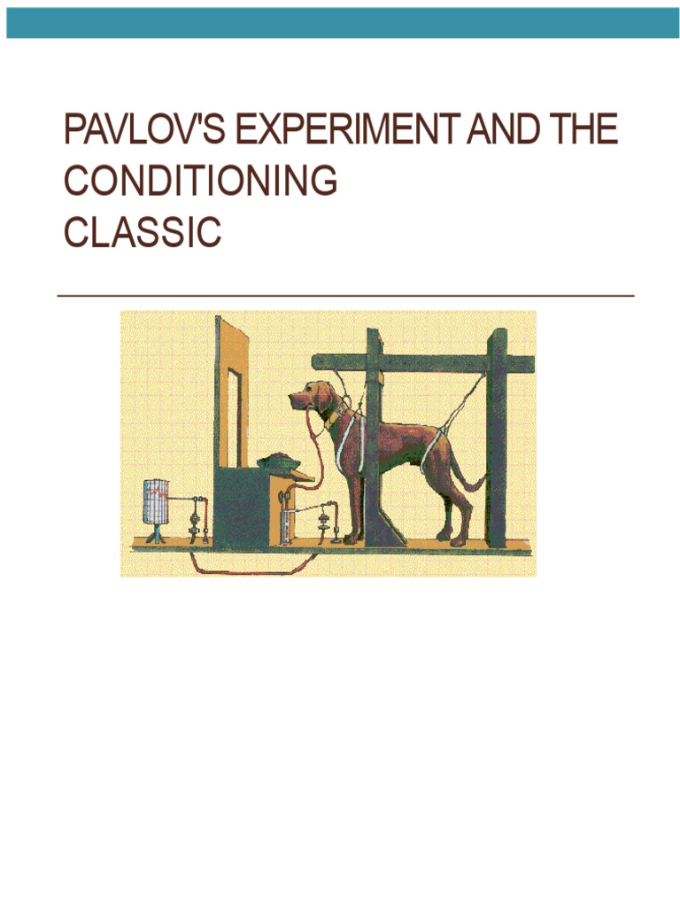 Class 3 Pavlov Experiment | PDF | Classical Conditioning | Learning