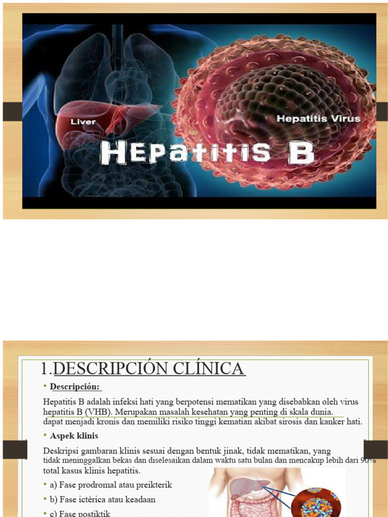 Hepatitis B | PDF