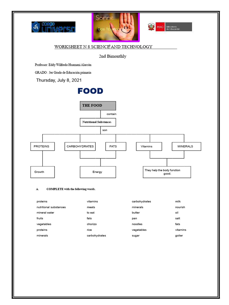 Sheet 8 Science and Technology 3rd Grade | PDF | Foods | Nutrition