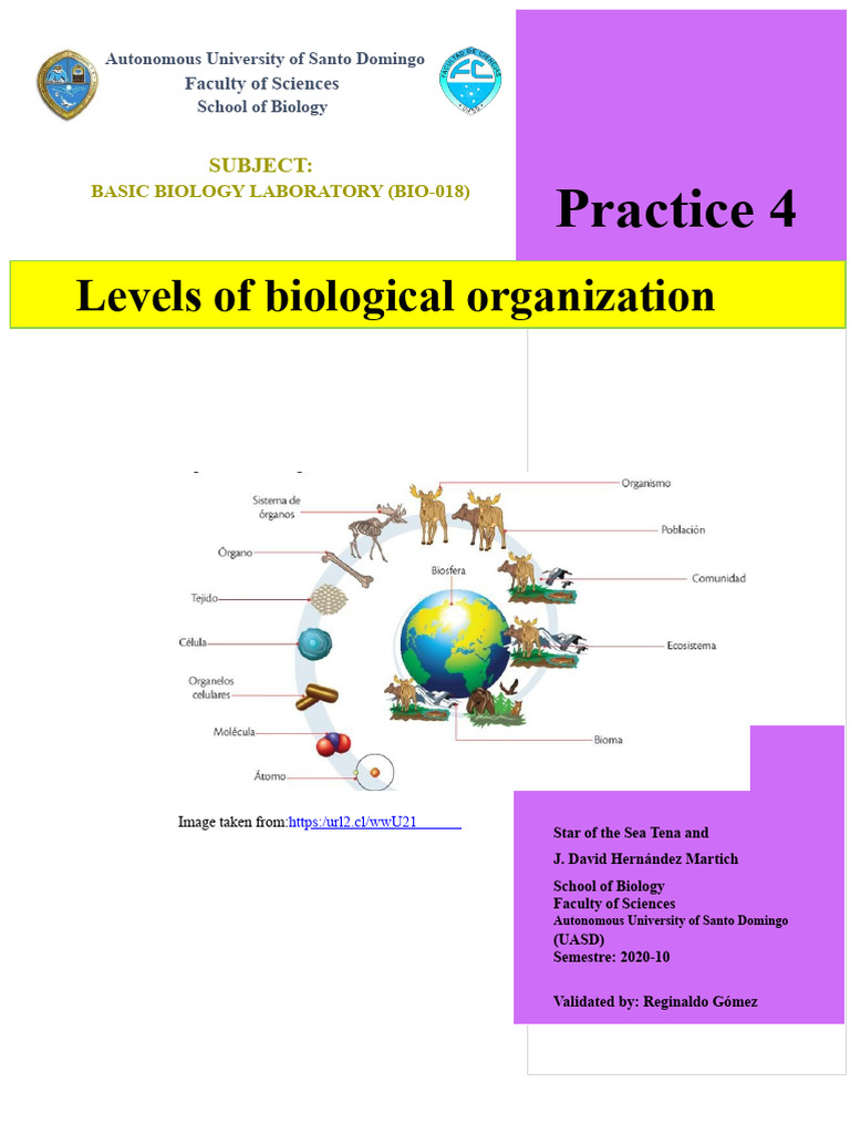 BIO-018. Practice 4 - Levels of Organization of Living Organisms | PDF ...