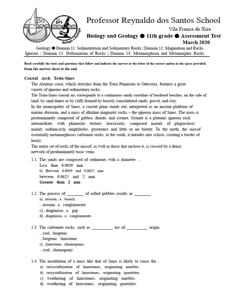 BioGeo11 Test Minerals Rocks 2020 | PDF | Rock (Geology) | Igneous Rock