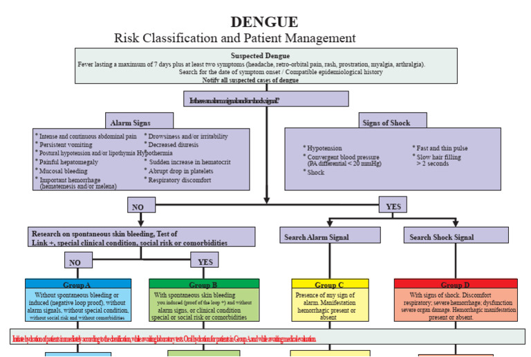 Dengue Classification | PDF | Shock (Circulatory) | Bleeding