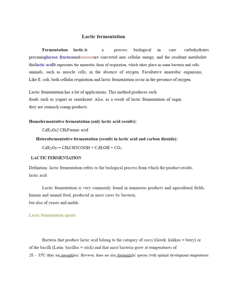 Understanding Lactic Fermentation Process | PDF | Lactic Acid ...