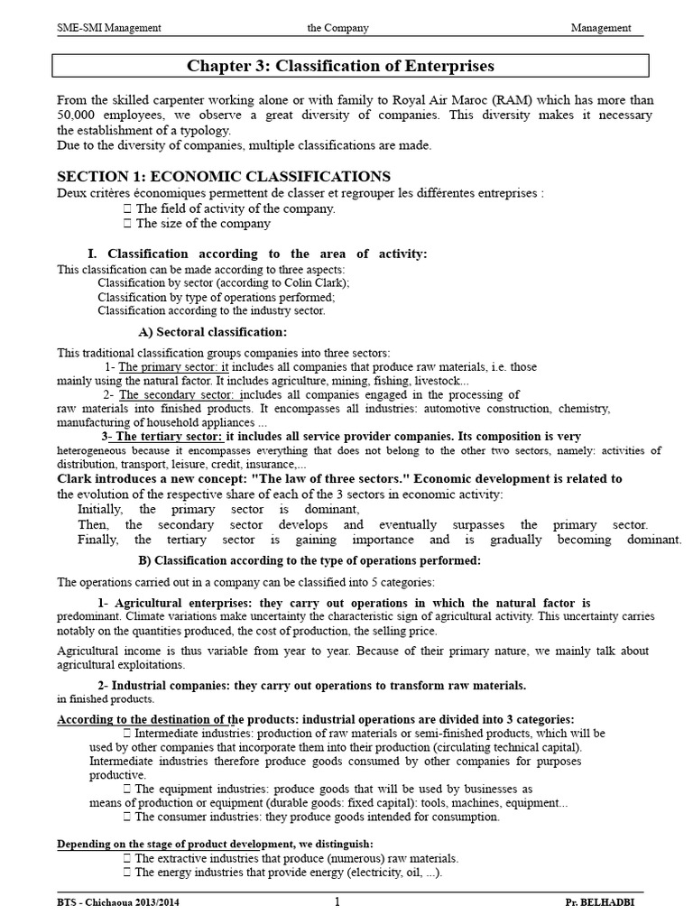 2 The Classification of Companies | PDF | Goods | Employment